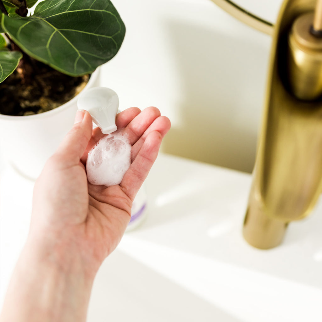 Eco-Max Gentle Foaming Hand Soap - Lavender Fields (310 mL) – Eco-Max ...